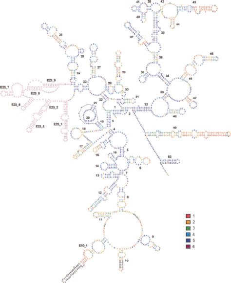 Nucleotide Variability Map Superimposed On The Ssu Rrna Secondary