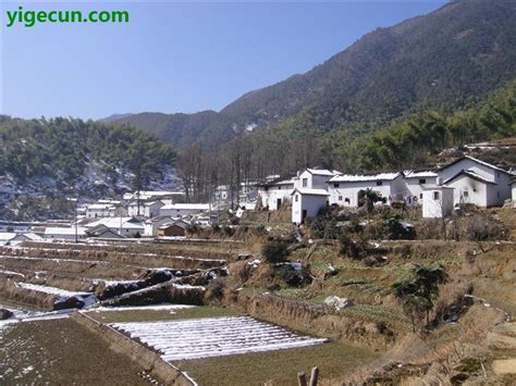 图片浙江省金华市婺城区塔石乡珊瑚村
