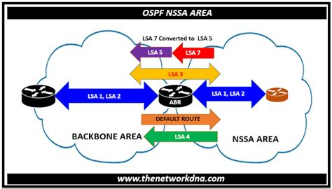 Introduction To Ospf Area Types The Network Dna