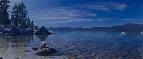 Video Remote Interpreting Services Amn Healthcare