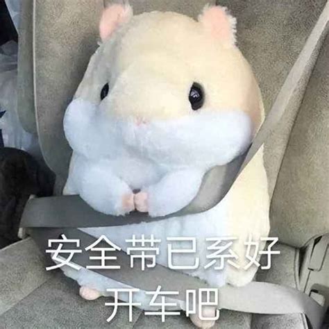 新交规后排可以抱小孩—规定多大孩子必须坐安全座椅 试驾评测 华网