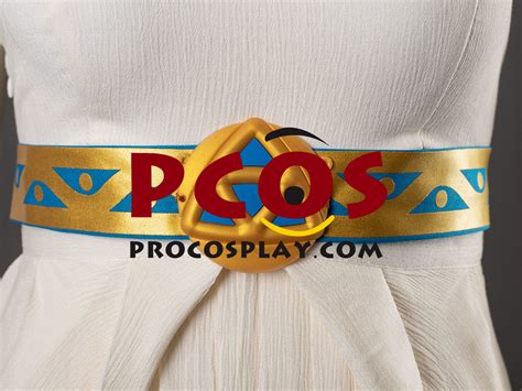 The Legend Of Zelda Breath Of The Wild Princess Zelda Cosplay Costume
