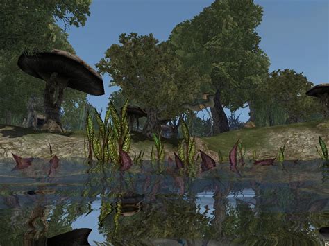 Morrowind Graphics Extender Xe Mge Xe Elder Scrolls 3 Morrowind