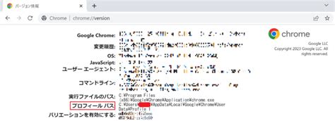 seleniumbasicをプロファイル指定して起動させる browsers profile programan
