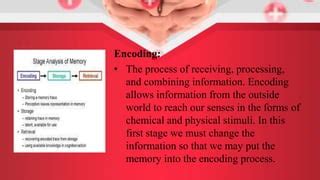 Memory And Its Types PPTX