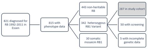 Modified Consort Diagrams Of Inclusion Of Patients Download