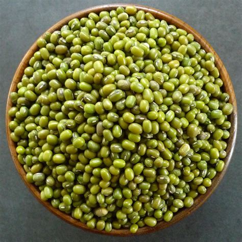 小明绿豆5斤当季新绿豆坝上农家自种绿小豆绿豆汤绿豆沙易煮 阿里巴巴