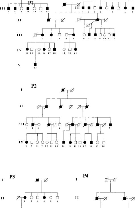 Figure 3 From Japanese Families With Autosomal Dominant Pure Cerebellar