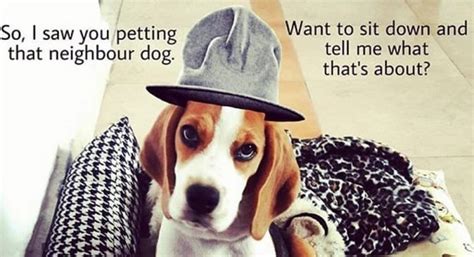 14 Funny Beagle Memes That Will Make You Smile Page 2 Of 3 Petpress
