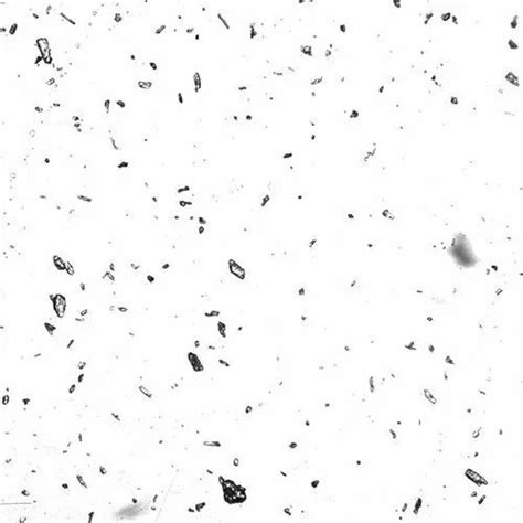 Automated Particle Size And Count Analysis At Best Price In Pune