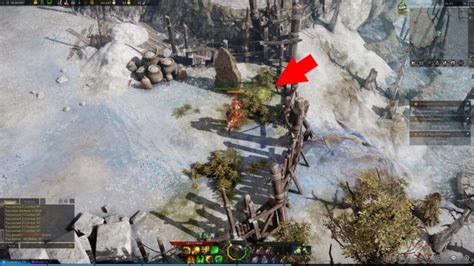 Emplacements Graines Mokoko De La Colline De Saland Dans Lost Ark Où