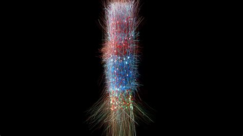 Dura Bernal Lab Dura Bernal Lab