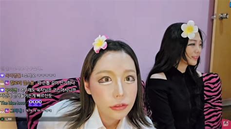 갸루주의 현재 소풍 옥자 상황 ㅋㅋㅋㅋ 치지직 에펨코리아