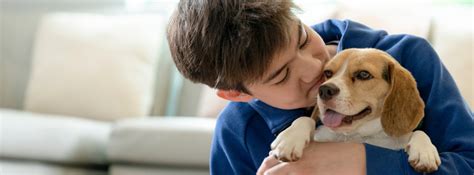 The Best Dog Breeds For First Time Owners Creature Companions