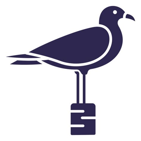 PNG Y SVG De Gaviota Con Fondo Transparente Para Descargar