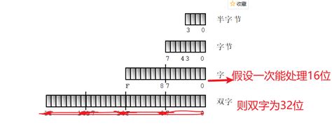 0基础知识：位、字节、字长、双字长的区别双字长数和双字节数一样吗 Csdn博客
