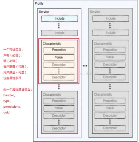 profile、服务、特征、属性之间的关系 野鸡码农 博客园