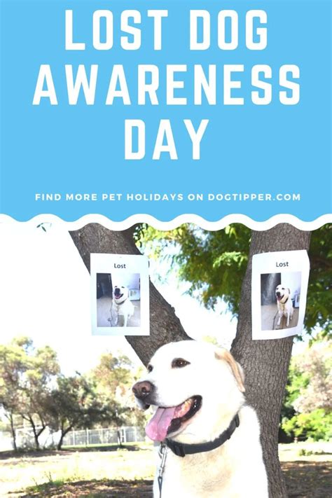 Lost Dog Awareness Day