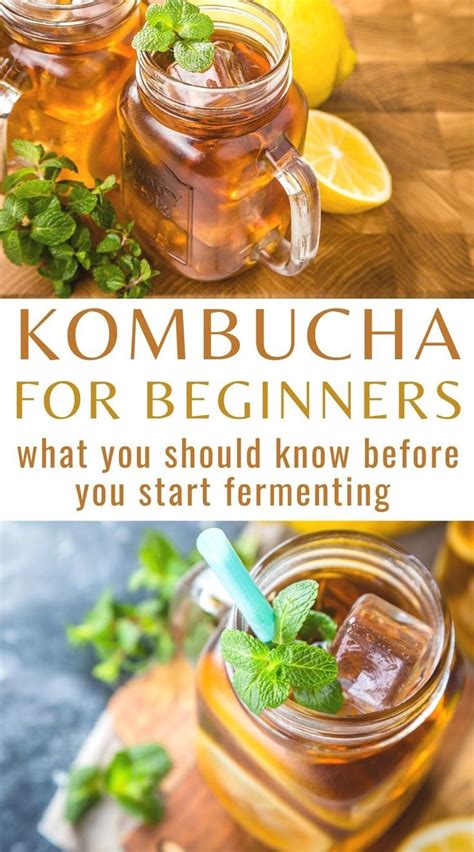 Kombucha For Beginners What You Should Know Before You Start In 2023
