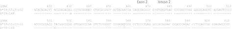 partial genomic sequences alignment of hla‐b 39 05 01 02 and b 39 168