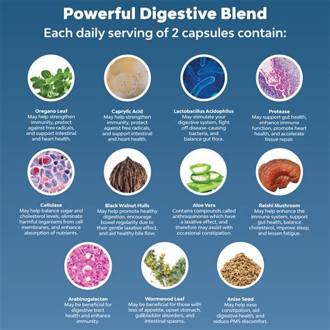 Candida Complex With Digestive Enzymes Natures Craft Candida Support