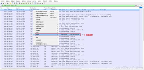 【蓝队技能】【内网隧道工具流量分析】frpandnpsandregeorgandvenomfrp流量分析 Csdn博客
