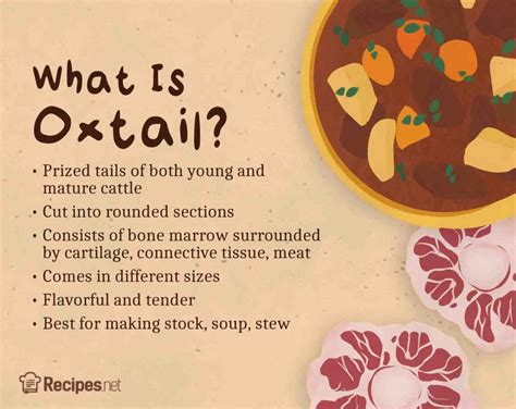 What Is Oxtail And Different Ways To Cook It Recipes Net