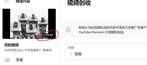 彼得潘（潘露史徒堂） On Twitter 无论怎么删除还是黄标，除了问候油管简体中文部审查人员：cnm，别无他法！