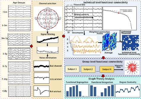 Figure 1 From Graph Theory Based Multilevel Cortical Functional Connectivity Developmental