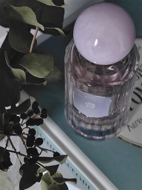 Rea Silvia Palazzo Della Bellezza عطر A جديد Fragrance للنساء 2024