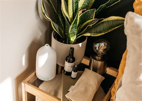 E 16 09 Win A Ceramic Diffuser Set — Moneysavingexpert Forum