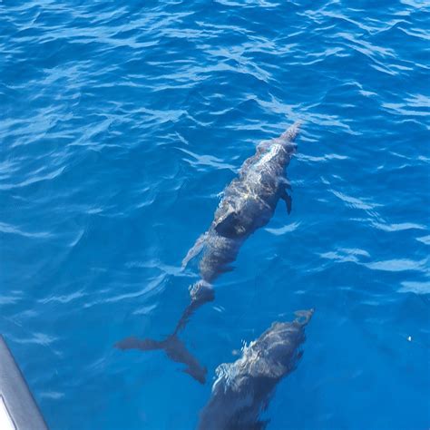 Facilities At South Palm Resort Maldives Guide