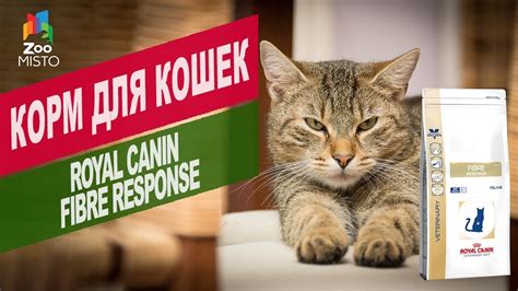 Корм для кошек Royal Canin Fibre Response Обзор корм для кошек Royal