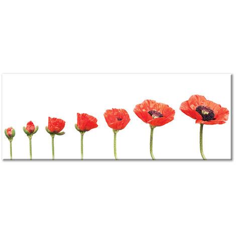 Tableau Les Coquelicots 80x30cm