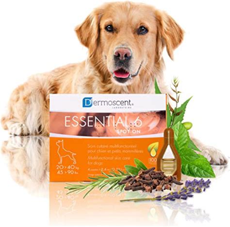 Dermoscent Essential 6 spot on dogs 40