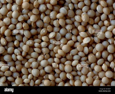 Macro Close Up Of Amaranth Seeds Amaranthus Food Background Stock