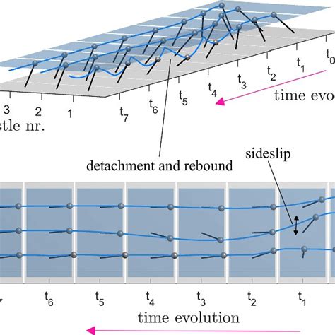 A Qualitative Representation Of The Time History Of Three Bristles With Download Scientific