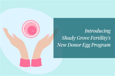 Shady Grove Fertility Launches New Simplified Donor Egg Program
