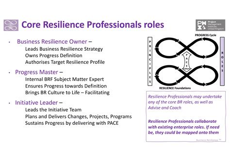 Business Resilience Framework A New Approach For Better Projects And Sustainable Value