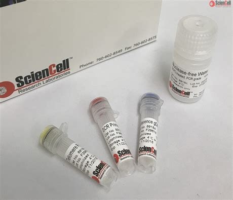 Absolute Human Telomere Length Quantification QPCR Assay Kit