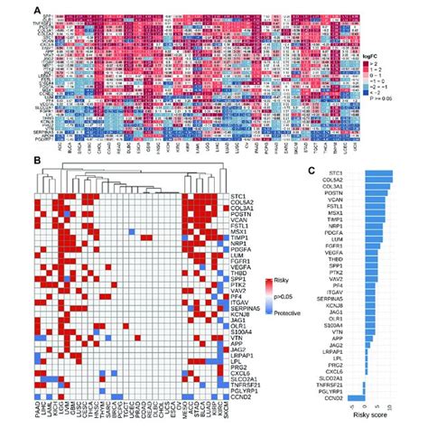 A Differential Expressions Of Angiogenesis Related Genes We Found