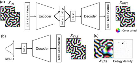 A Schematic Diagram Of The Variational Autoencoder And Examples Of