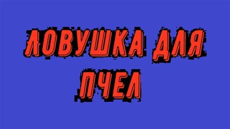 Как сделать ловушку для пчел часть 1 Youtube