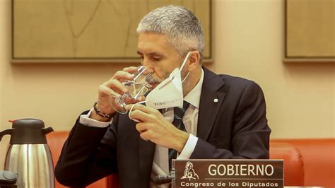 Marlaska Dimisión La Gaceta
