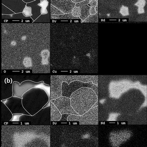 Electron Probe Microanalysis Images Of A Dy O Wt And B DyF Download Scientific
