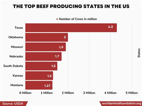 What State Produces The Most Beef A Look At Americas Top Beef Producing States