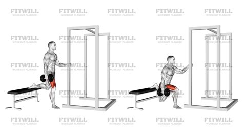 Dumbbell Assisted Bulgarian Split Squat Exercise Guide Video Techniques Benefits How To