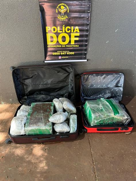 Homem que seguia maconha para Minas Gerais é preso pelo DOF em