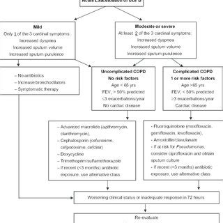 Types Of Inhaler Devices Used In Treatment Of COPD Download Scientific Diagram