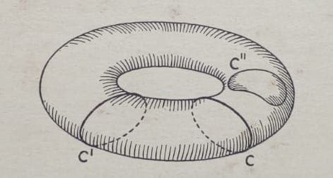 Tikz Pgf Drawing Torus With Semi Dashed Line On It Tex Latex